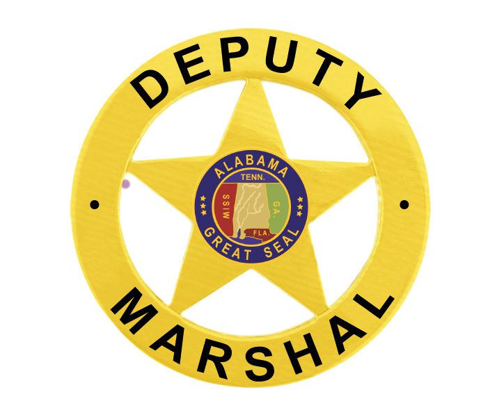 Custom Police Badges and Security Badges - Owl Badges