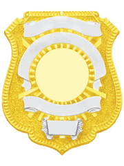custom made security badges | custom private security badges