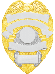 custom made security badges | custom private security badges