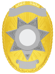 custom made security badges | custom private security badges