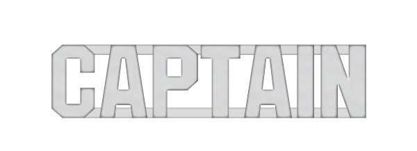 Police Collar Pins And Collar Brass Owl Badges