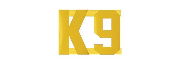 Police Collar Pins And Collar Brass Owl Badges