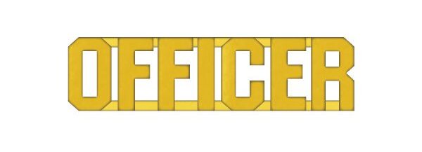 Police Collar Pins And Collar Brass Owl Badges