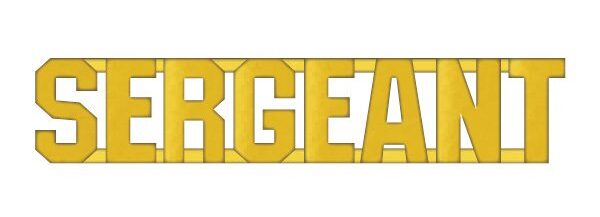 Police Collar Pins And Collar Brass Owl Badges