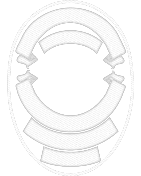 Custom Police Patches and Security Patches - Owl Badges