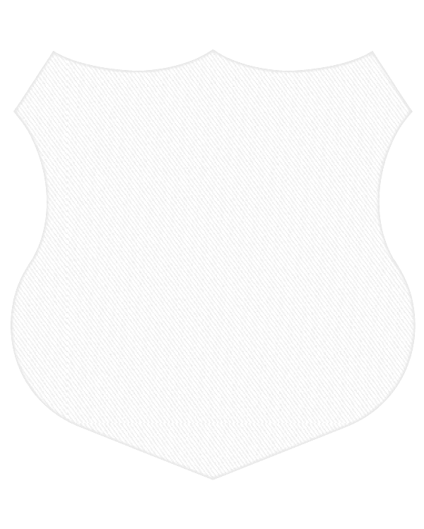 Custom Police Patches And Security Patches Owl Badges