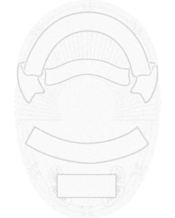 Custom Police Patches And Security Patches Owl Badges