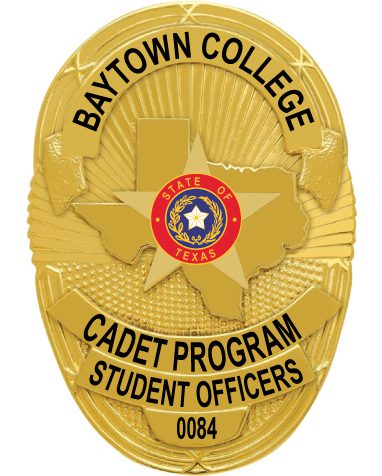 Custom Police Badges And Security Badges Owl Badges