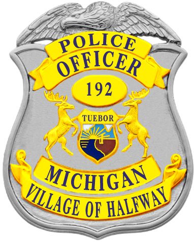 Custom Police Badges And Security Badges Owl Badges