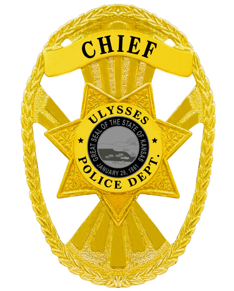 Custom Police Badges And Security Badges Owl Badges